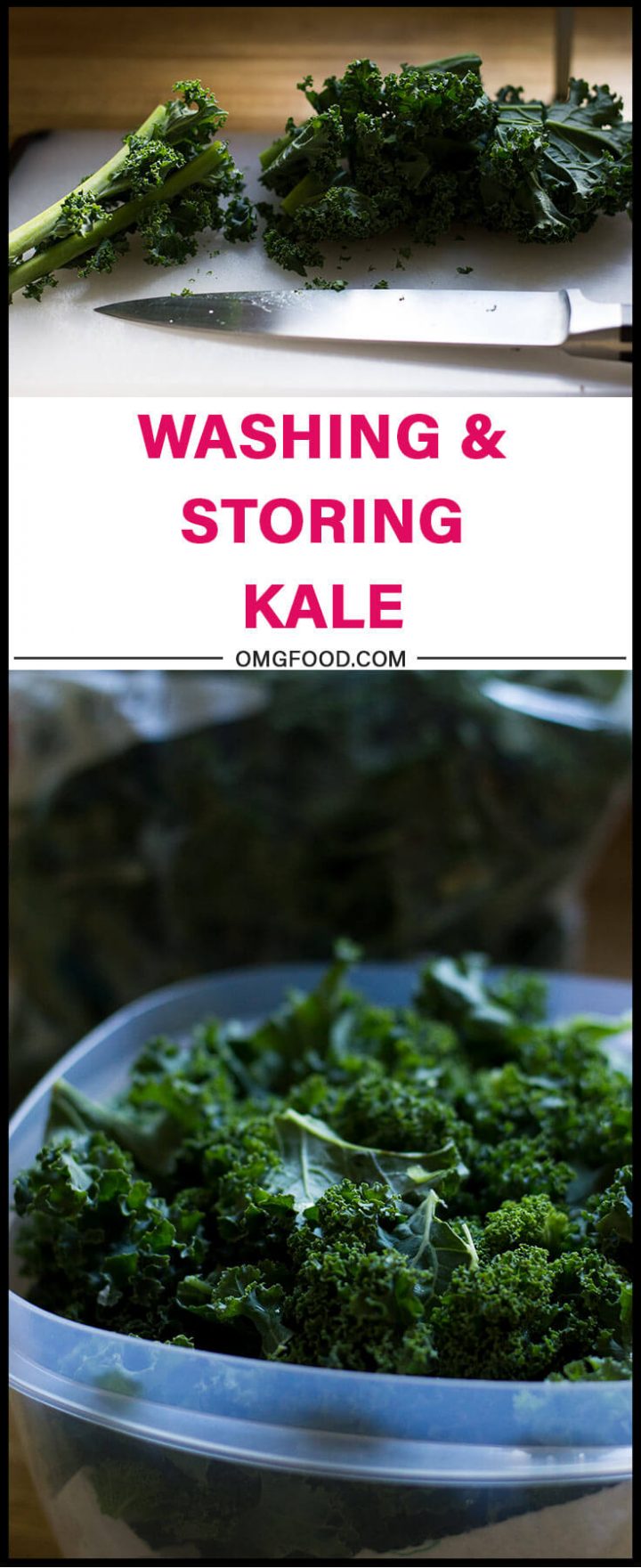 Food Prep: Washing and Storing Kale | OMGfood