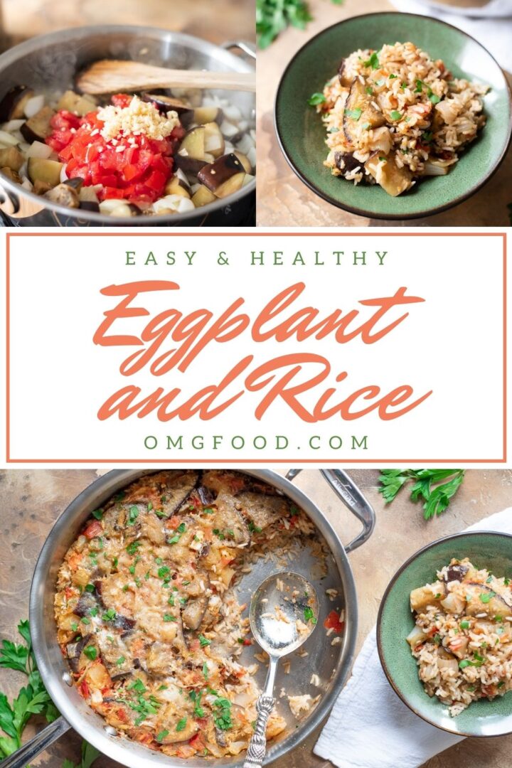 One Pot Greek Eggplant and Rice | OMGfood